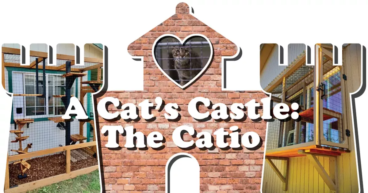 A Cat's Castle: The Catio | The Source Weekly - Bend, Oregon